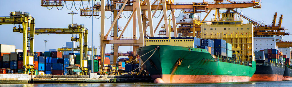 Customs management experts - LEO Border Services